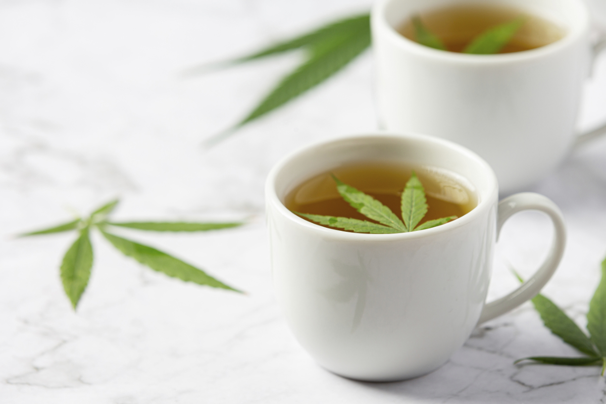 Jak často pít konopný čaj | CBDčko.cz